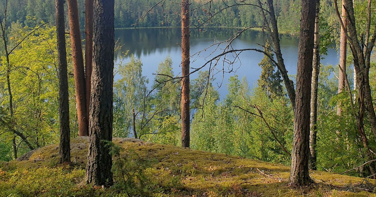 Luonto - Lemin musiikkijuhlat